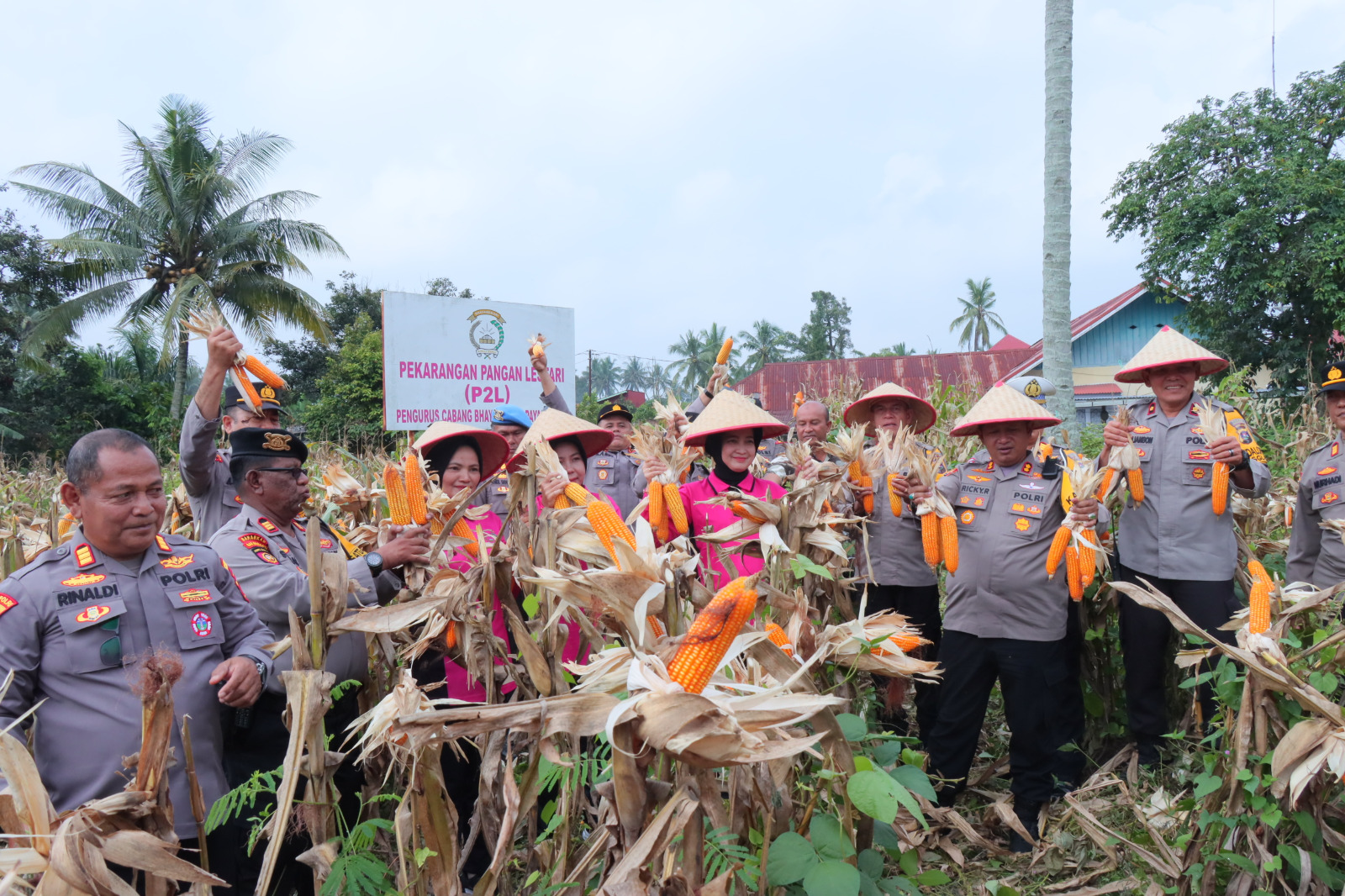 Dukung Program Ketahanan Pangan Nasional, Kapolres Payakumbuh dan Ketua Bhayangkari Cabang ...